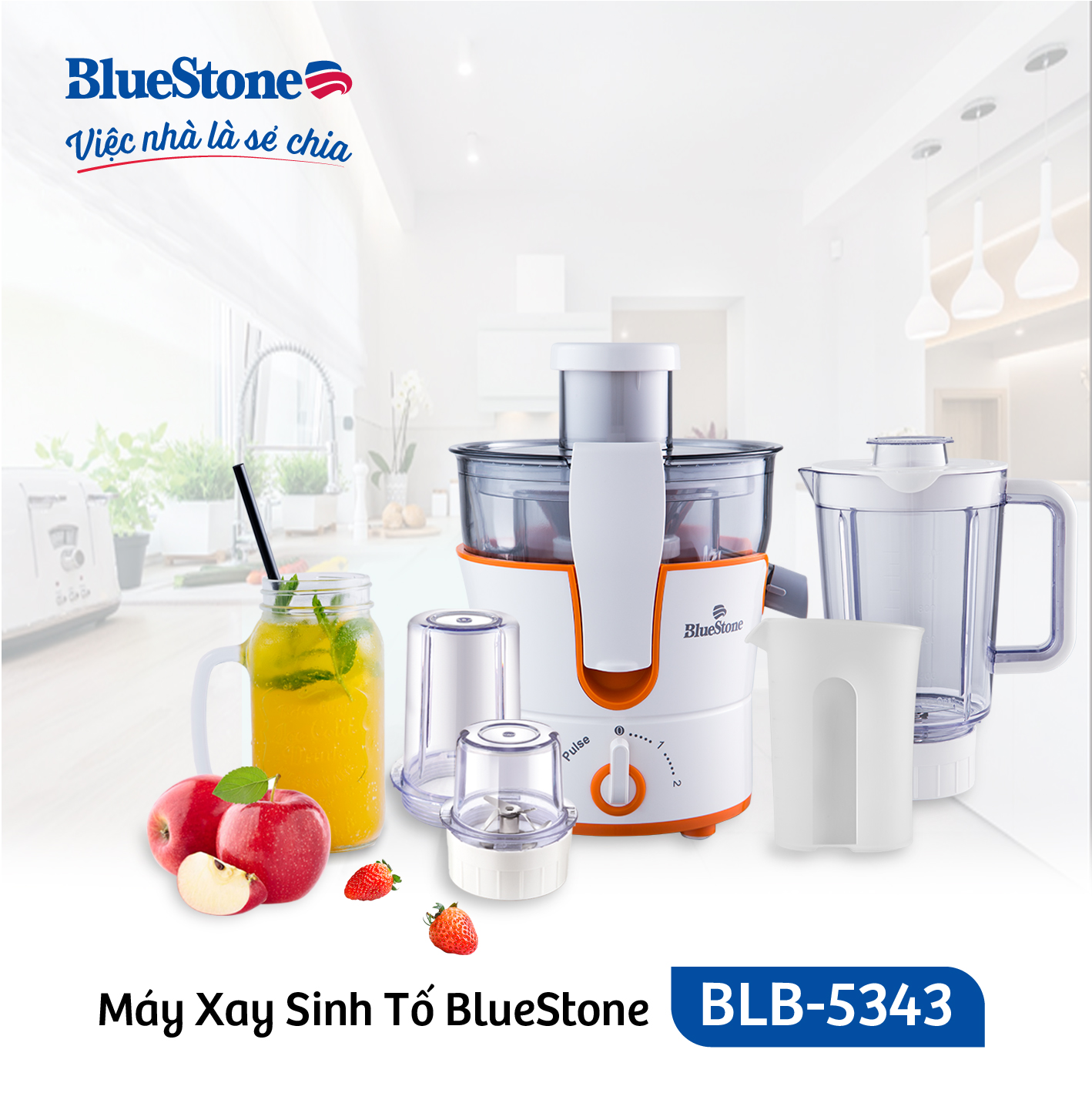Máy Xay Sinh Tố BlueStone BLB-5343 1 Lít 250W