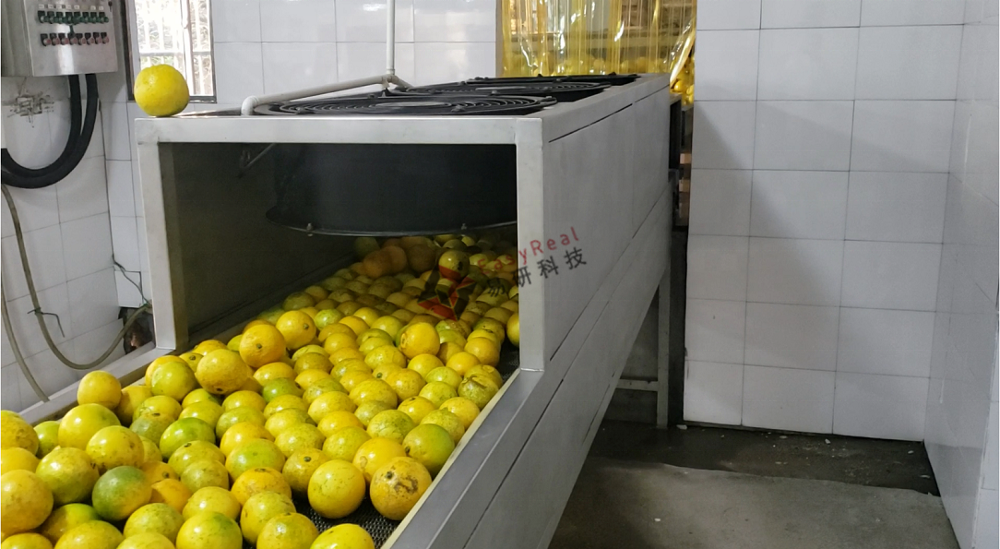Chất Lượng Lớp Cam Chanh Nhà Máy Nước Ép Tinh Dầu Khai Thác Máy Dây Chuyền Sản Xuất Citrus Máy ...