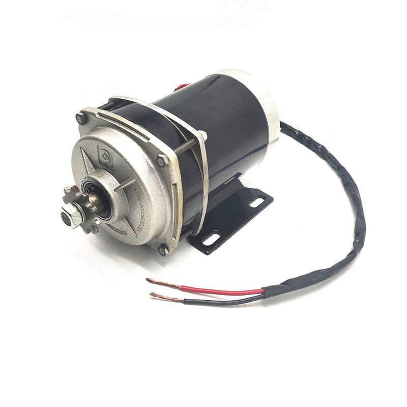 My1020 500 Wát Động Cơ Bàn Chải 24v 36v 48v E-bike Chải Động Cơ Tốc Độ ...