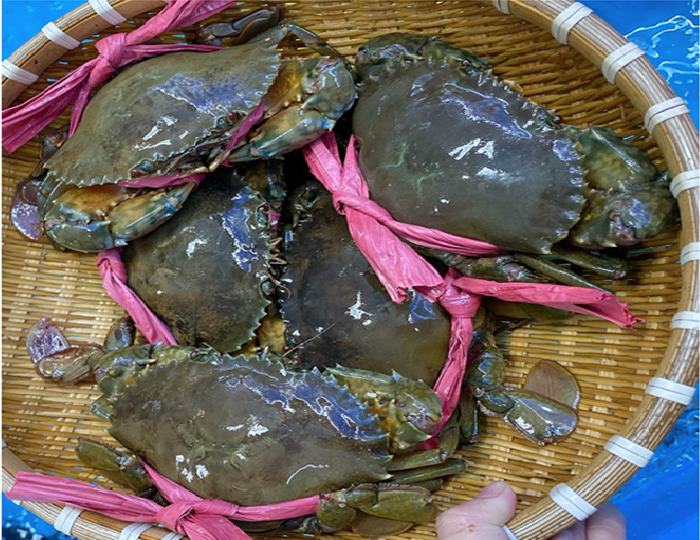 Cua Thịt Cà Mau – DACH FOOD