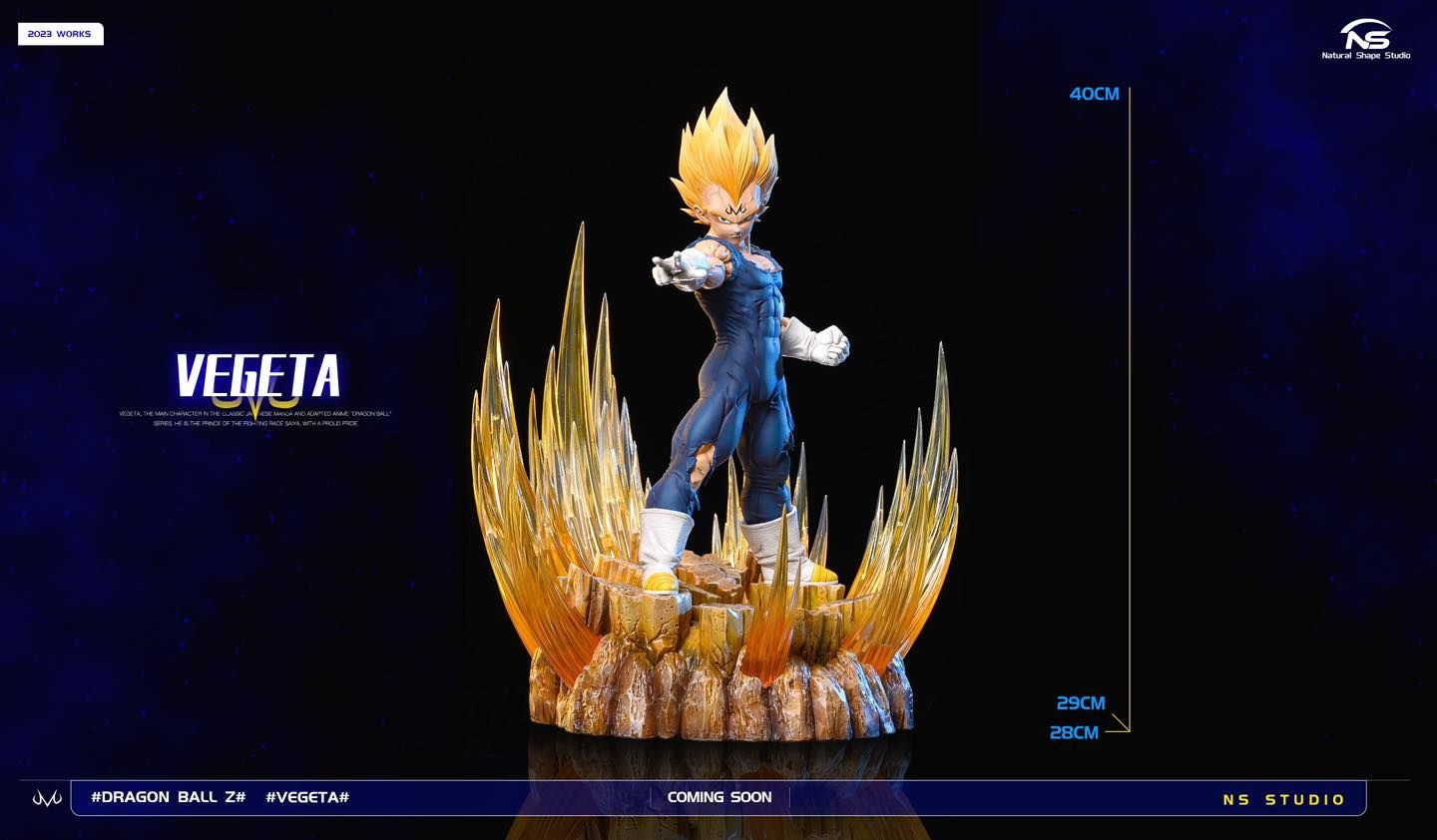 Majin Vegeta - NS Natural Shape Studio – Flash Resin Shop