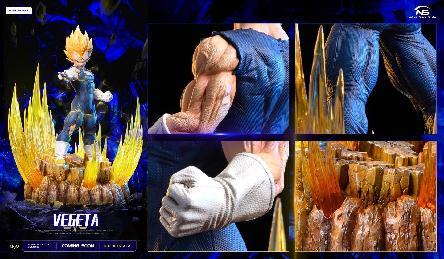 Majin Vegeta - NS Natural Shape Studio – Flash Resin Shop