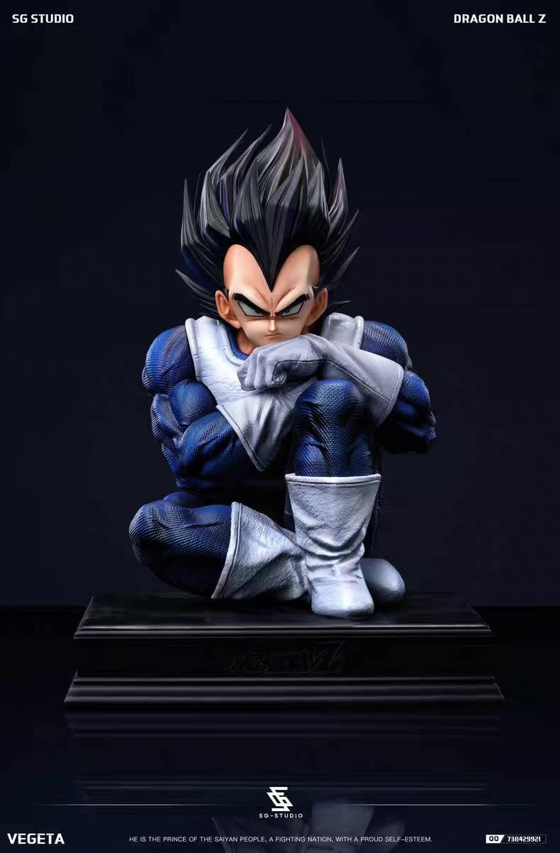 SG Studio - Vegeta – Flash Resin Shop