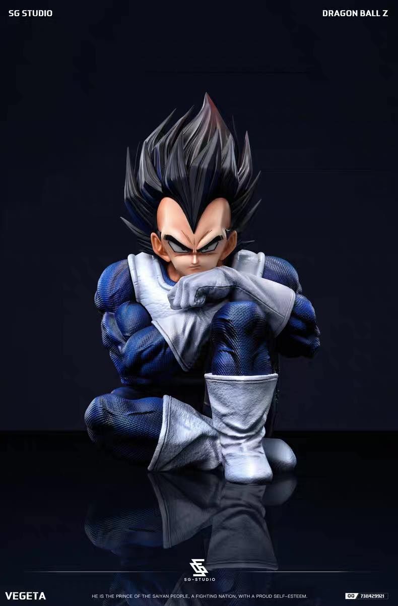 SG Studio - Vegeta – Flash Resin Shop