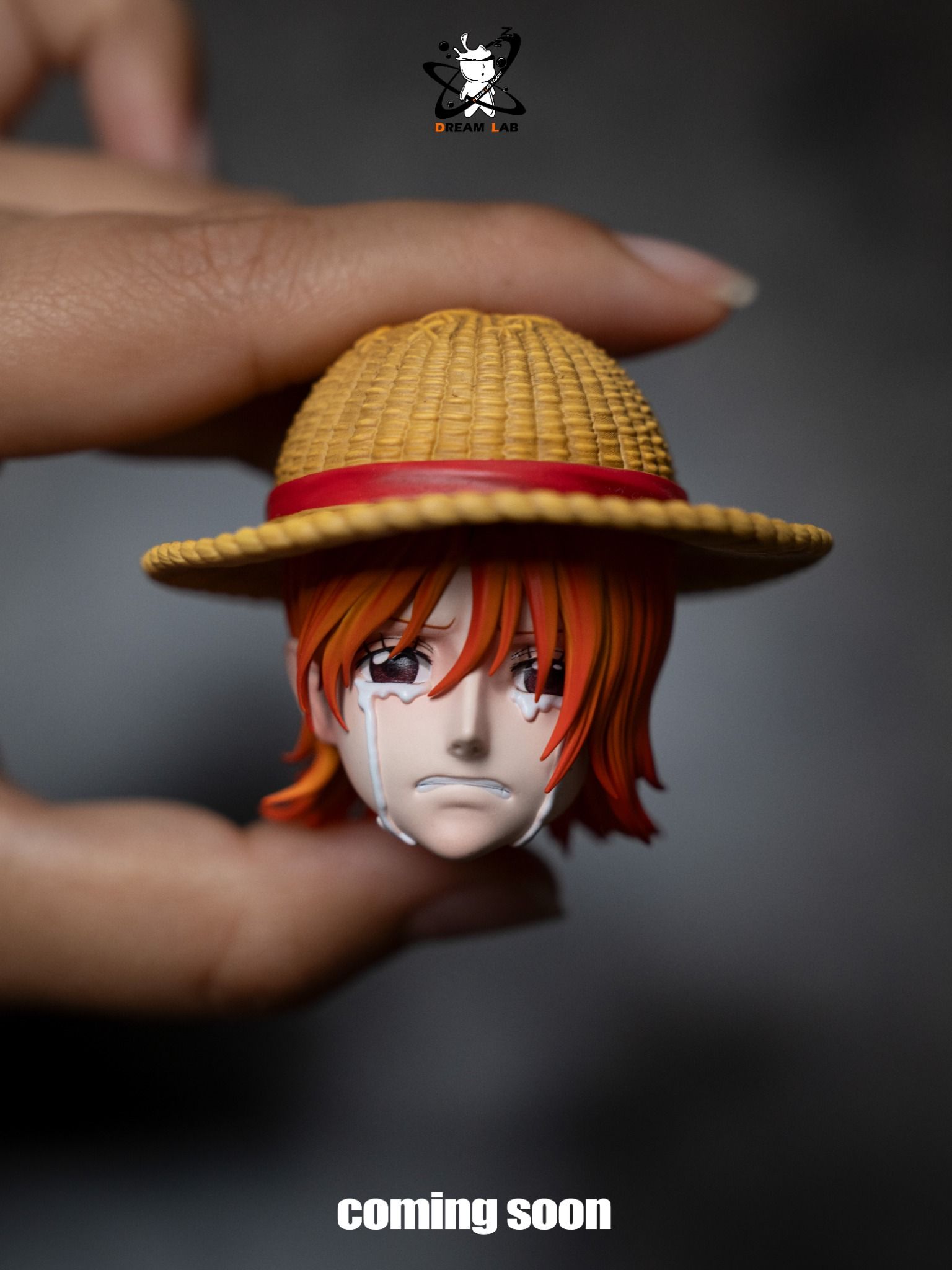 Dream Lab Studio - Nami - One Piece – Flash Resin Shop