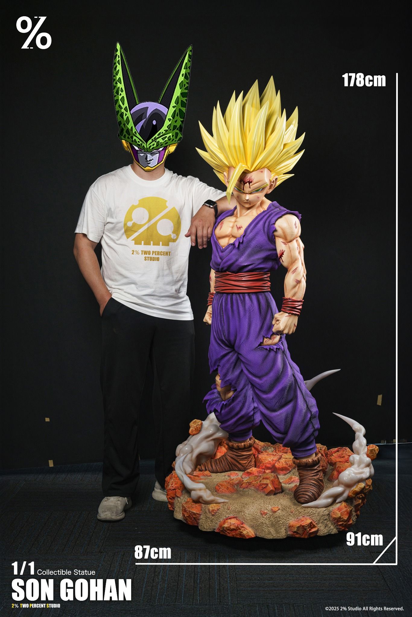 2% Studio - 1/1 Gohan SSJ2 - Dragon Ball – Flash Resin Shop