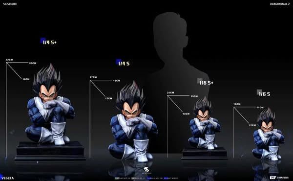 SG Studio - Vegeta – Flash Resin Shop