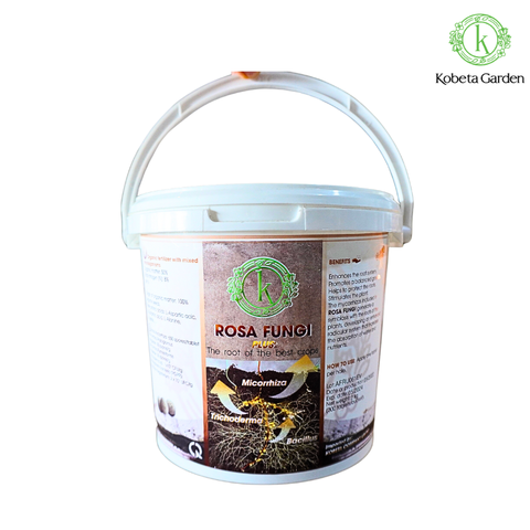 Viên nấm cộng sinh rễ Mycorrhira - Trichoderma - Bacillus 650 bào tử – Kobeta Garden