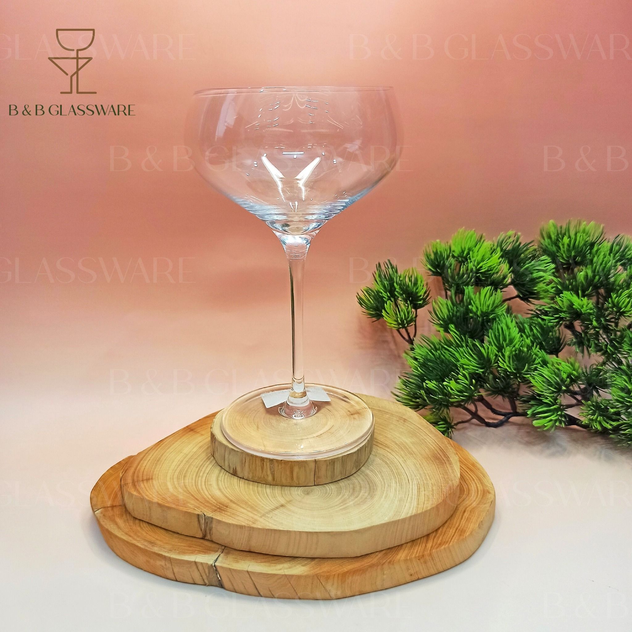 Ly Cocktail Coupe Classic 250ml – B&B Supplier