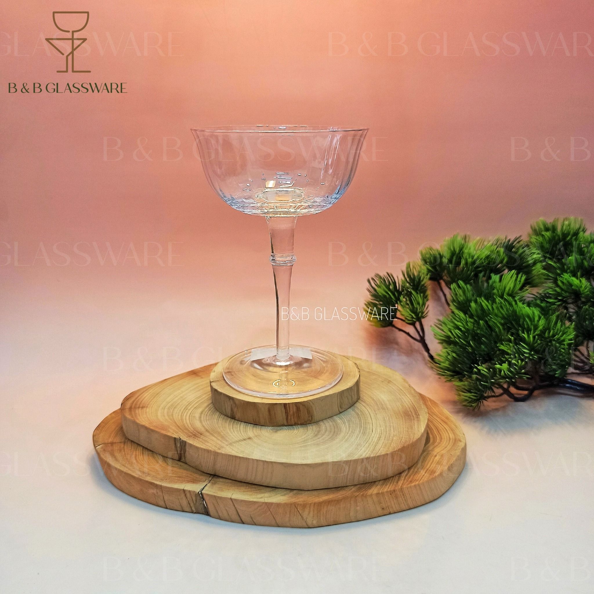 Ly Cocktail Daisy – B&B Supplier