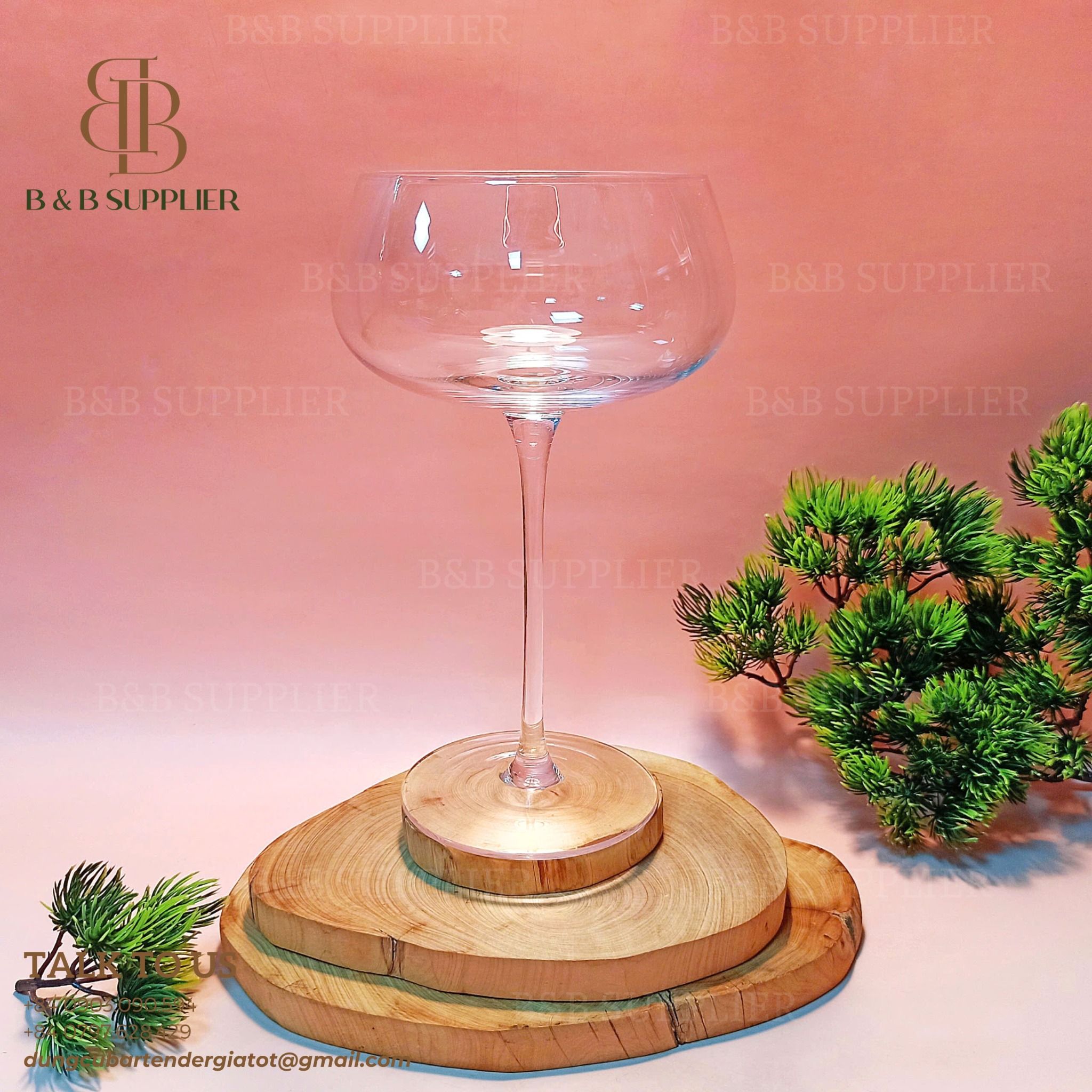 Ly Coupe Trơn 3009 – B&B Supplier