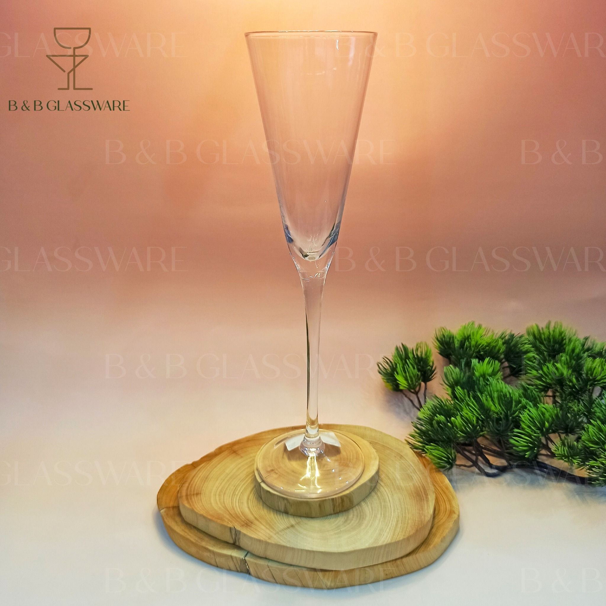 Ly V-Line-Champagne Flute 163ml – B&B Supplier