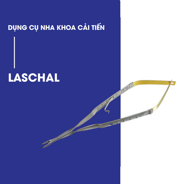 LASCHAL – Biotech Dental Vietnam