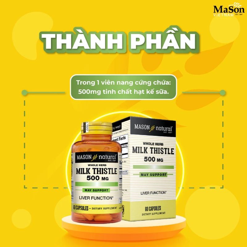 Mason Milk Thistle - Giải độc gan, hỗ trợ chức năng gan khỏe mạnh