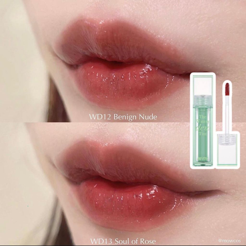 Son Tint Bóng Merzy The Watery Dew Tint #WD16[NEW] Son Tint Bóng Merzy ...