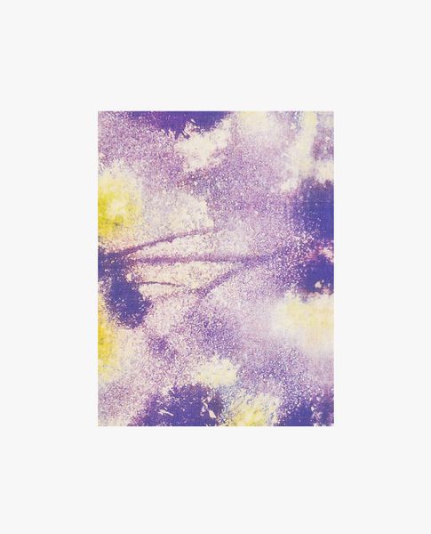 Spring Shadow - LUSH Việt Nam