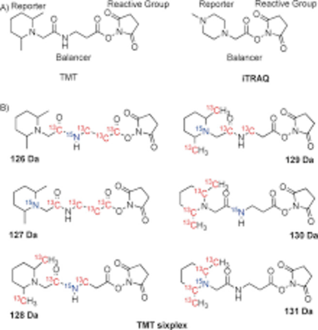 Labelled Compound/ Stock Solution – greenlab