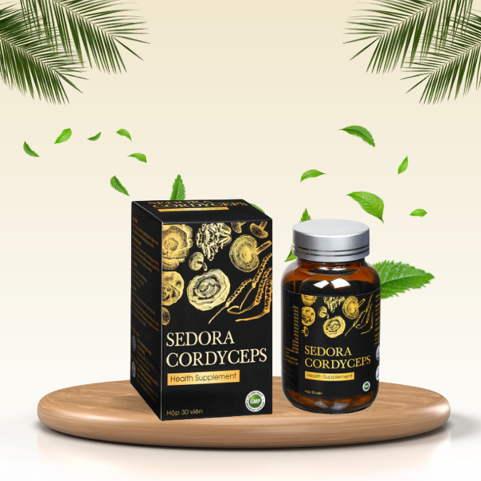 Sedora Cordyceps – Dehera shop