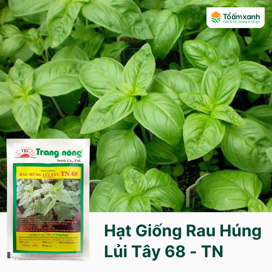 Hạt Giống Rau Húng Lủi Tây TN 68 - Trang NôngHạt Giống Rau Húng Lủi Tây ...