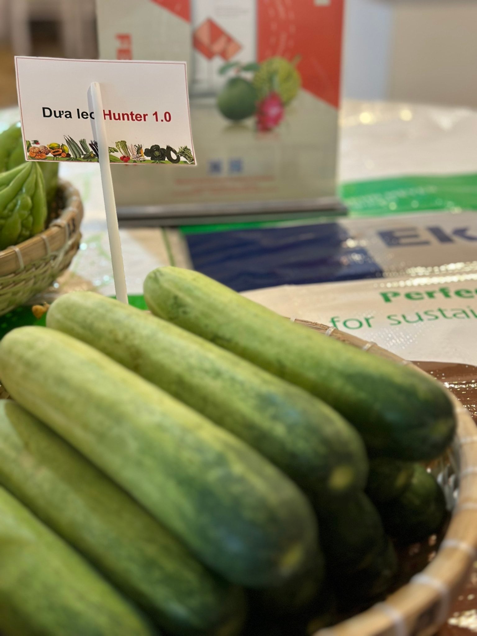 Hạt Giống Dưa Leo Lai F1 HUNTER 1.0Hạt Giống Dưa Leo Lai F1 Hunter 1.0 ...