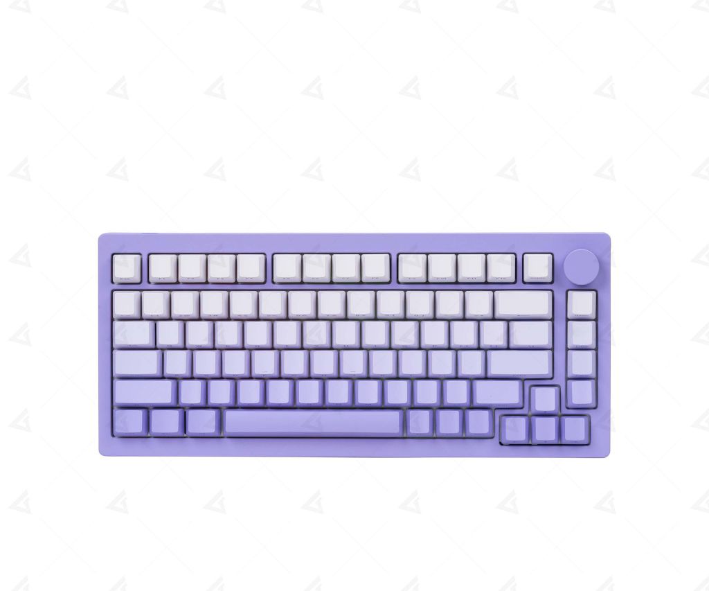Bàn phím MonsGeek M1W HE-SP V3 Lilac Purple Akko Cream Yellow V2 SW ...