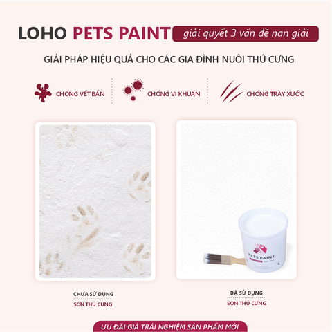 Loho House - Sơn nhà và decor theo phong cách của bạn!
