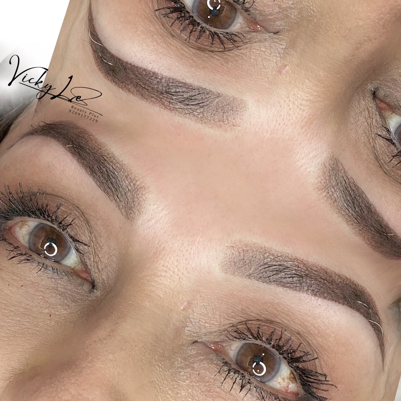 Soft Ombre Brows Course Vicky Pmu Academy