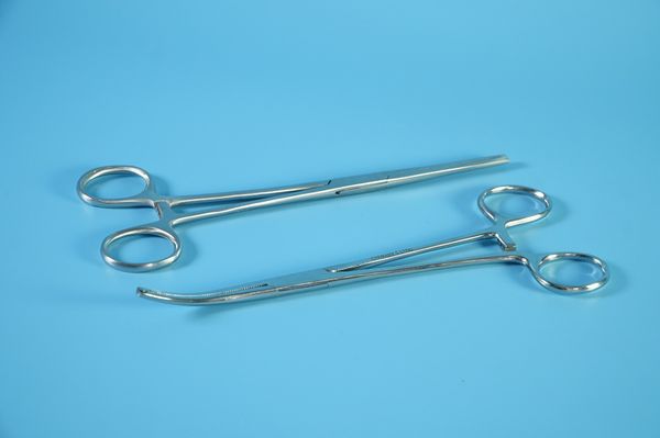 Pen y tế gia đình, kéo panh y khoa Everbest thép không rỉ - Có mấu - RARMED