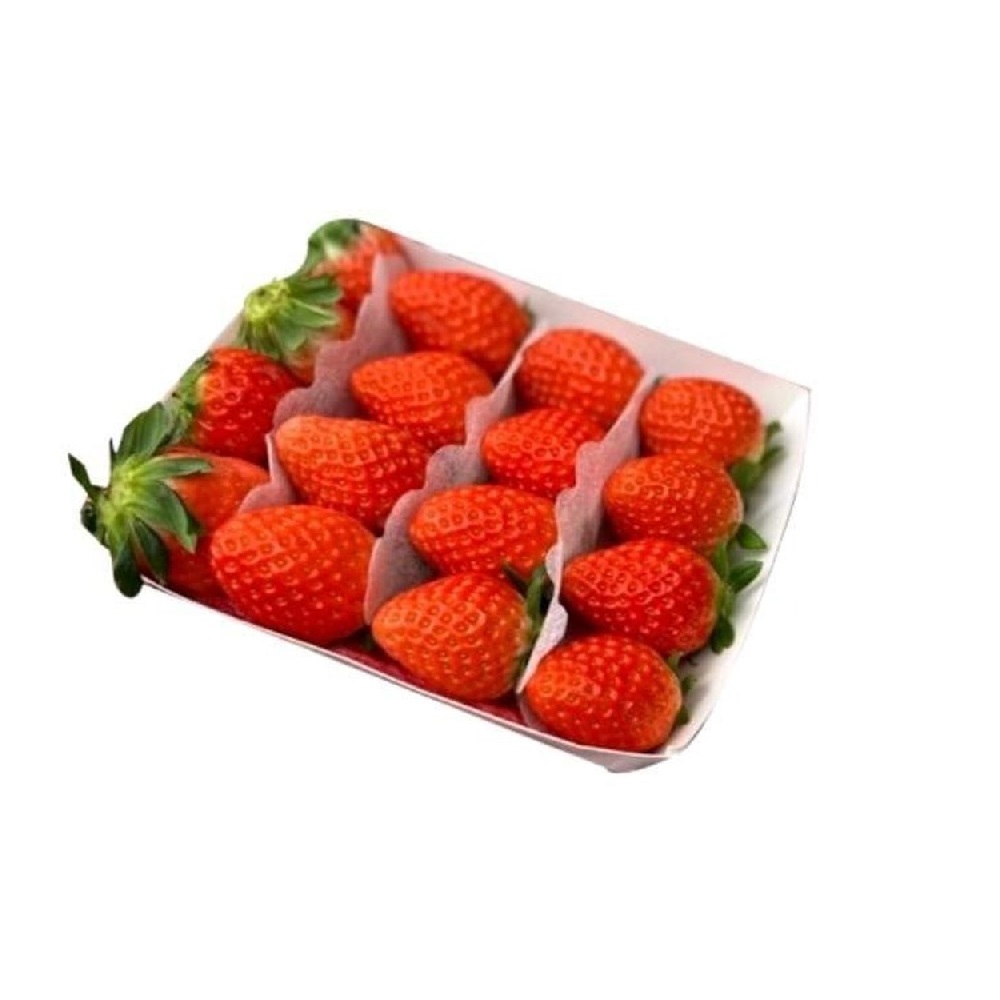 DÂU HÀN QUỐC HỘP 330G – ORGANIC GOODS