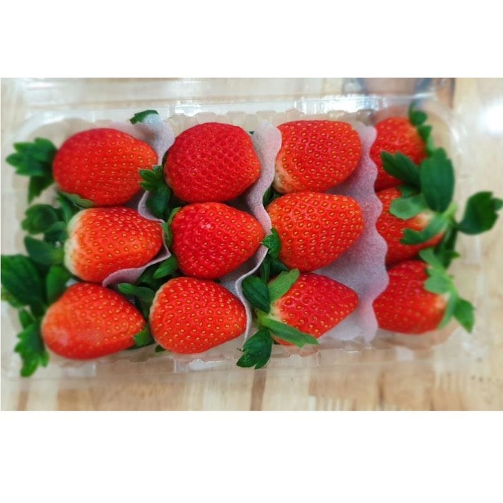 DÂU HÀN QUỐC HỘP 330G – ORGANIC GOODS