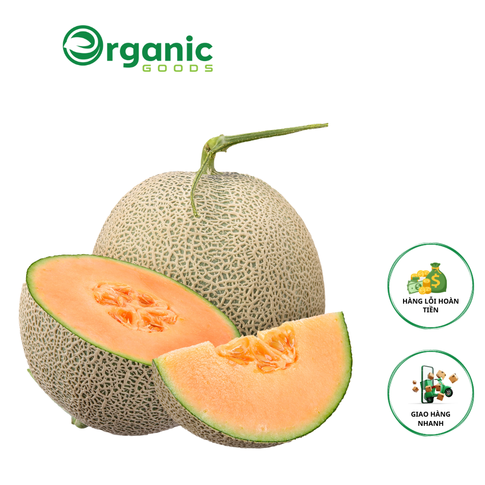 DƯA LƯỚI HỮU CƠ EVERYDAY – ORGANIC GOODS