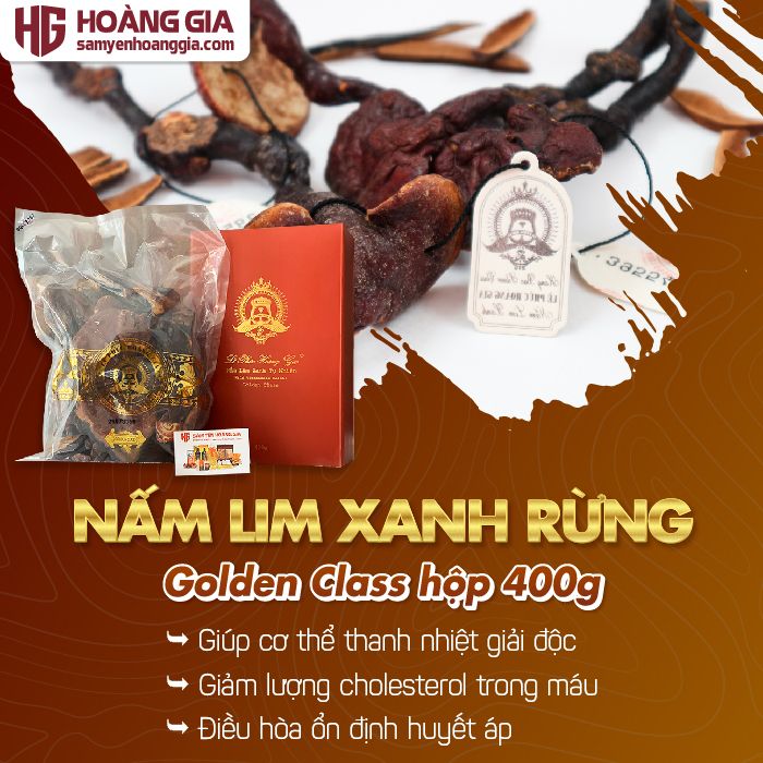 Nấm lim xanh rừng Lê Phúc Hoàng Gia Golden Class hộp 400gr - Sâm Yến ...