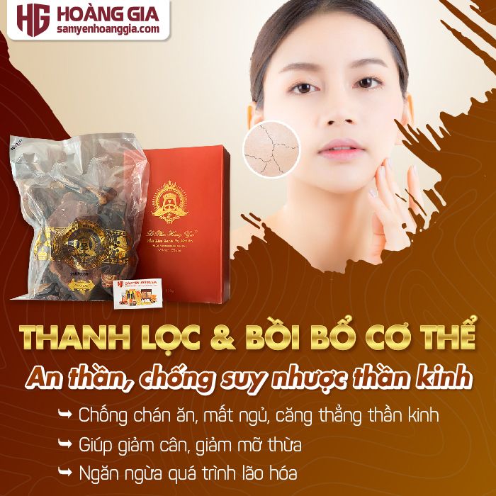 Nấm lim xanh rừng Lê Phúc Hoàng Gia Golden Class hộp 400gr - Sâm Yến ...