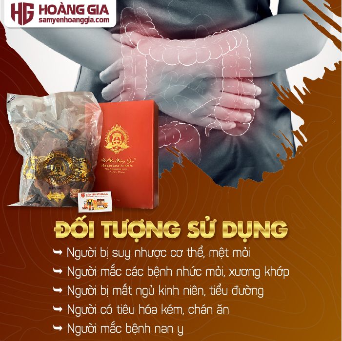 Nấm lim xanh rừng Lê Phúc Hoàng Gia Golden Class hộp 400gr - Sâm Yến ...