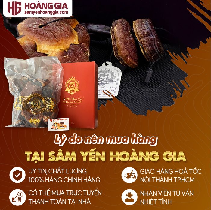 Nấm lim xanh rừng Lê Phúc Hoàng Gia Golden Class hộp 400gr - Sâm Yến ...