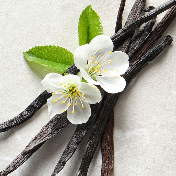 Vanilla flavour – GiVi