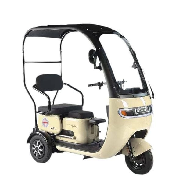Xe điện 3 bánh có mái che