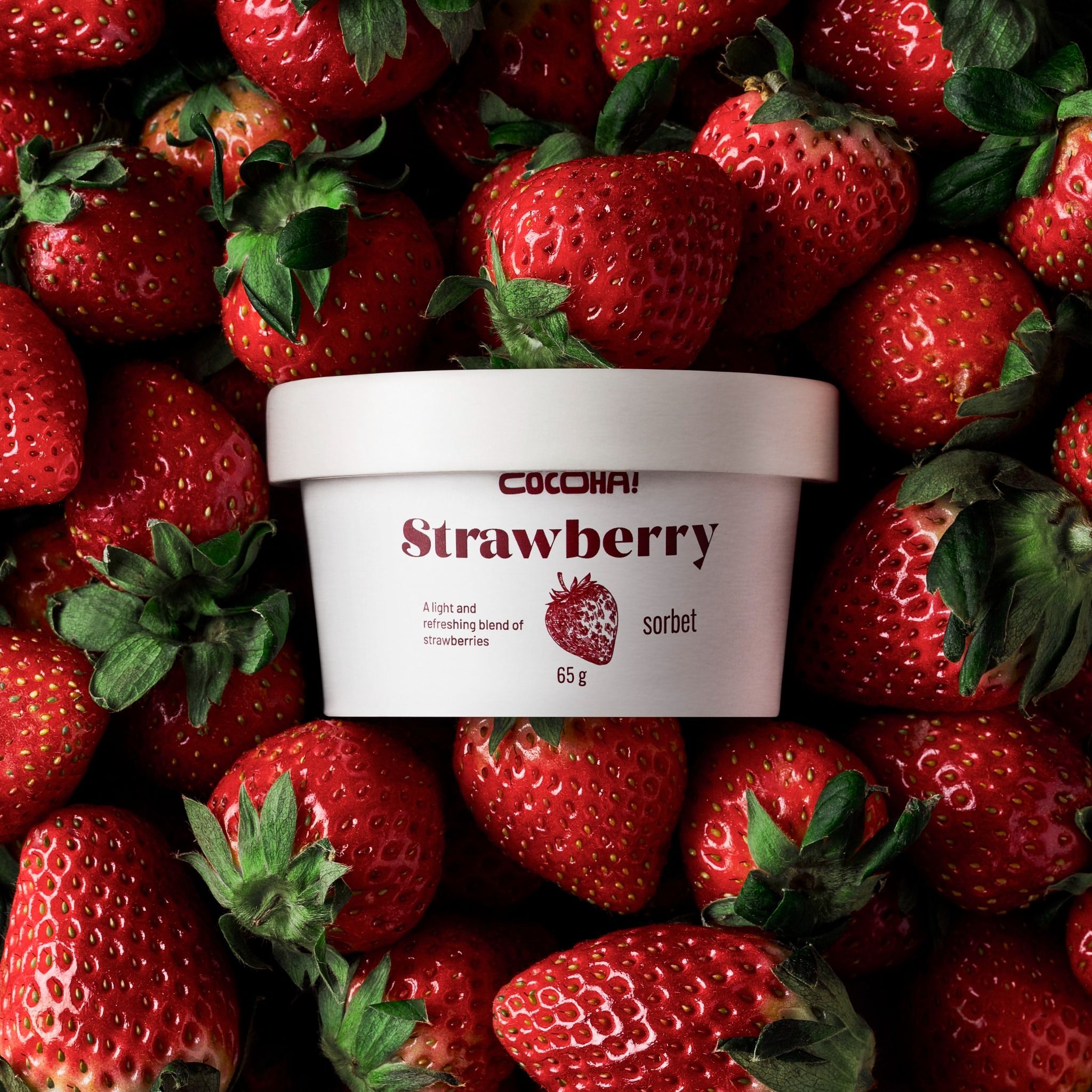 Kem Dâu – CoCoHa!