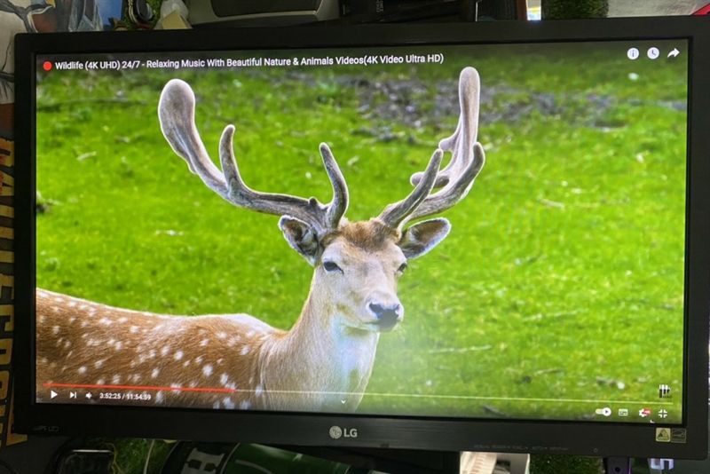 Màn Hình LCD LG 27ich 27MP35 LED IPS Đen 2ND