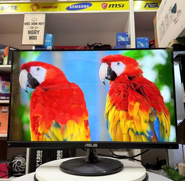 Màn Hình Máy Tính LCD ASUS 24ich 23.8 inch FHD IPS 144Hz Liknew 4/2025