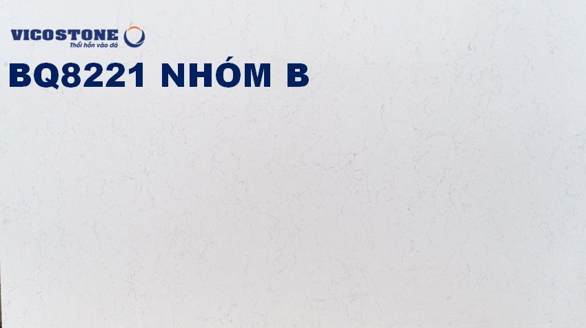 Vicostone - BQ8221 – Valley