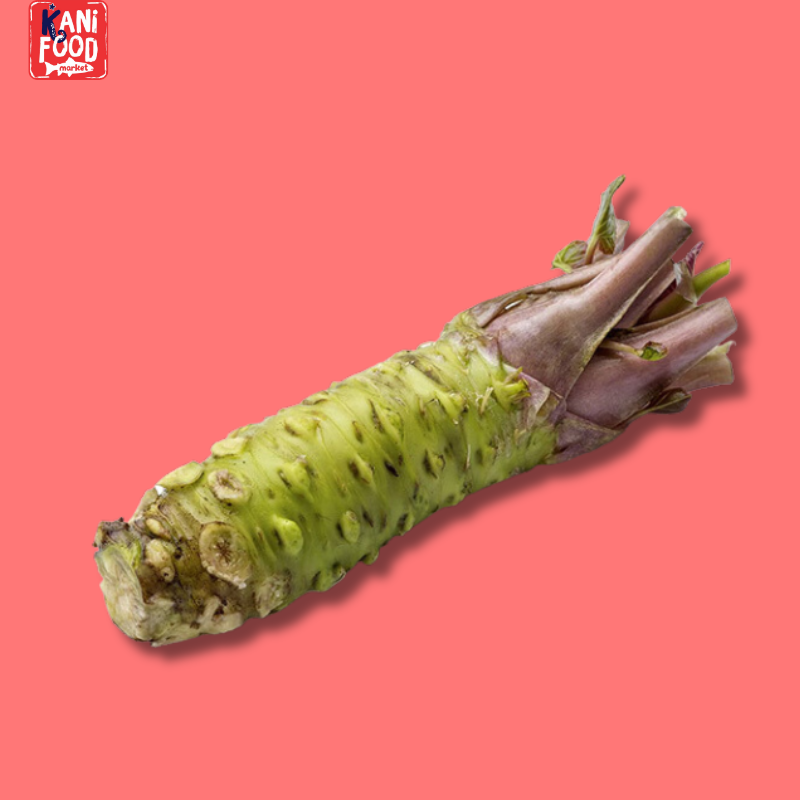 CỦ WASABI TƯƠI (1KG) | Kani Food