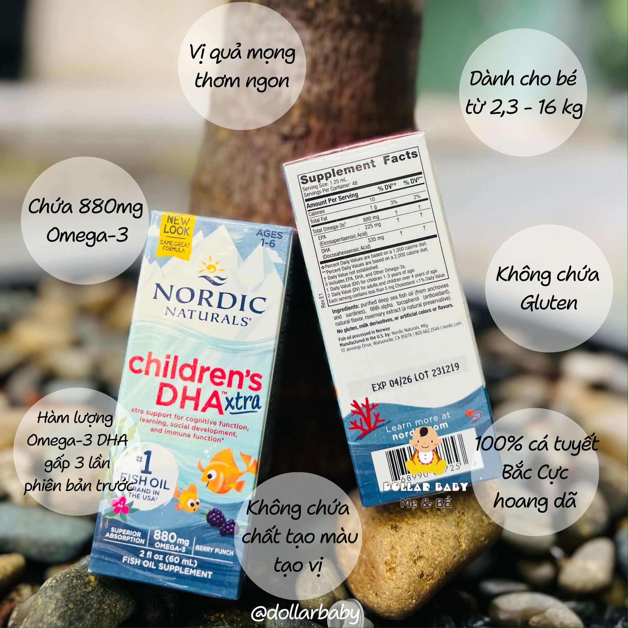 Nordic Naturals Baby's DHA Liquid With Dropper 60ml ( 0 - 12 tháng tuổ – Dollar Baby