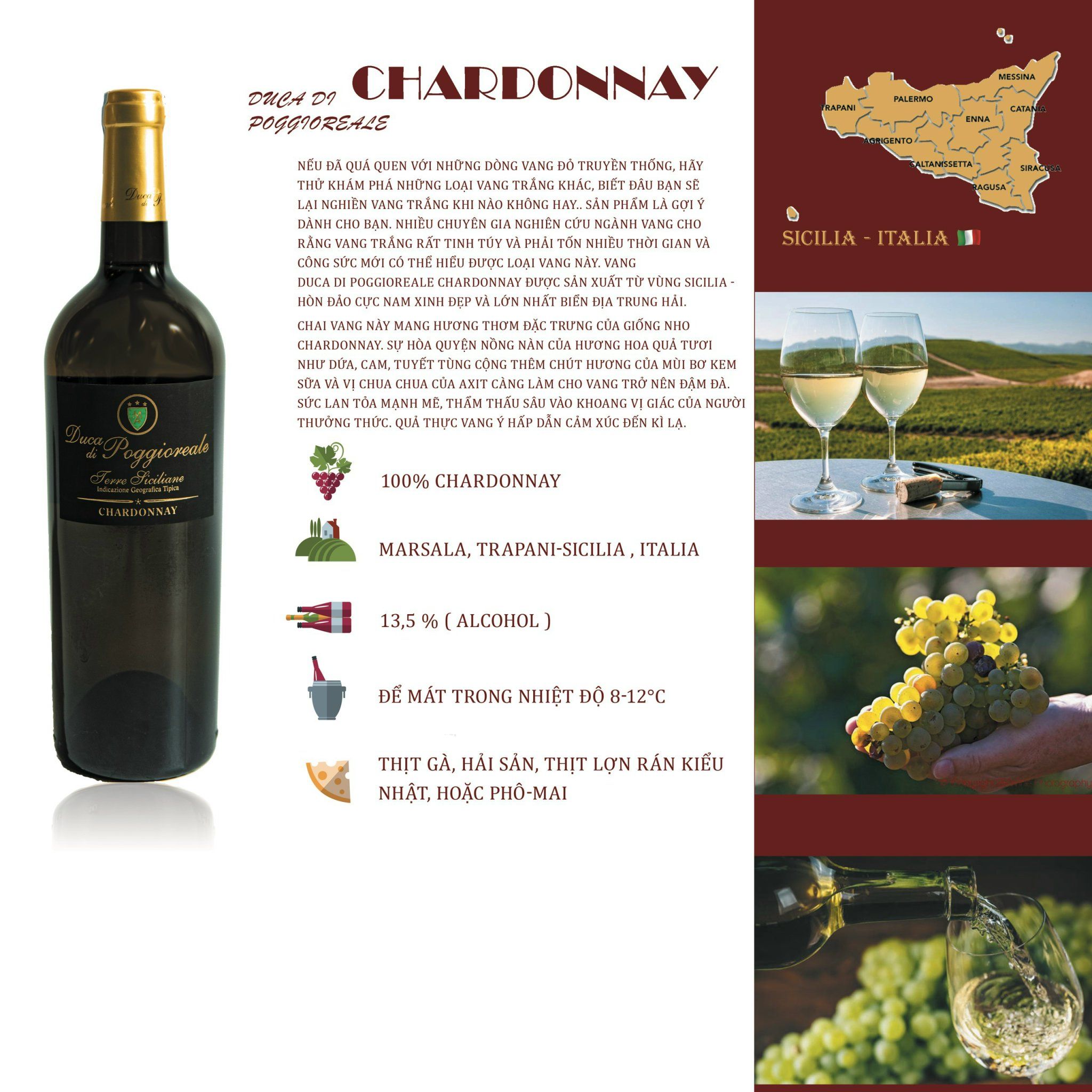 Rượu vang trắng Ý Duca Di Poggioreale CHARDONNARY 2016 – The Wine Boutique