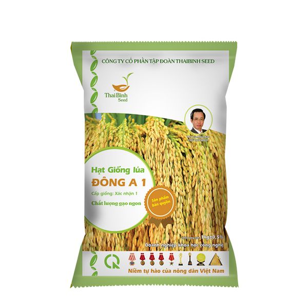 GIỐNG LÚA ĐÔNG A1 – ThaiBinh Seed