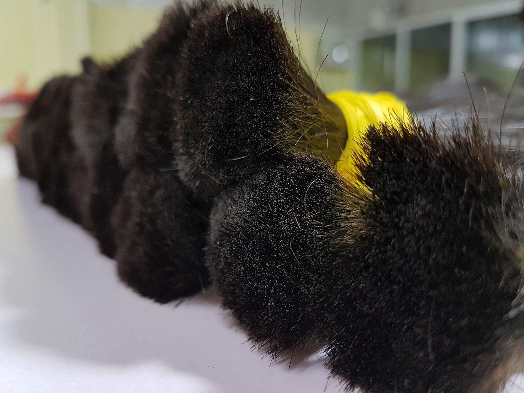 Bulk hair – hihhairvietnam