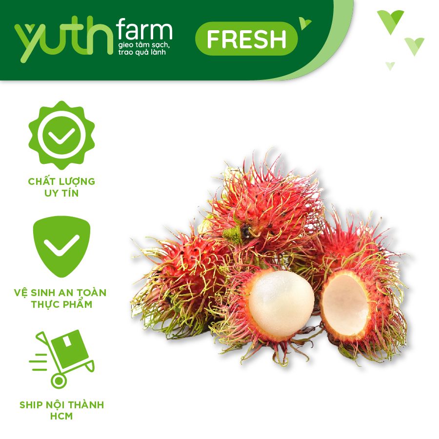 Chôm chôm – Yuth Farm & Foods