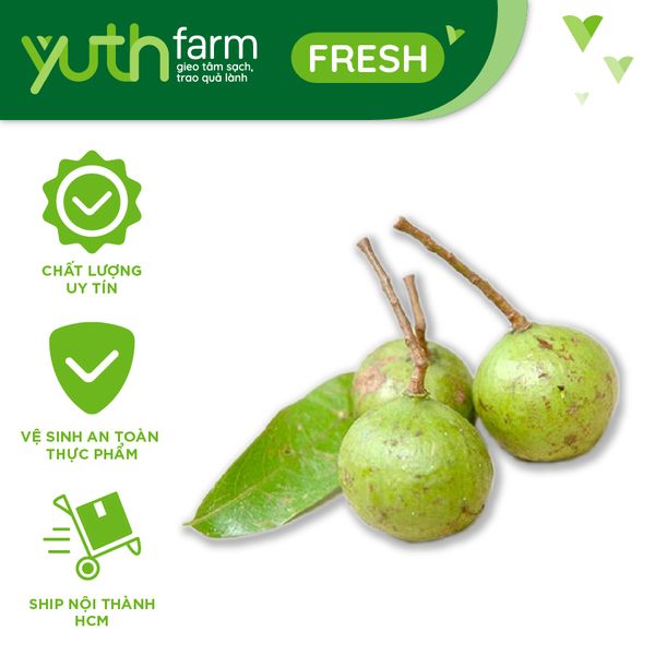 Trái sấu (Hết mùa) – Yuth Farm & Foods