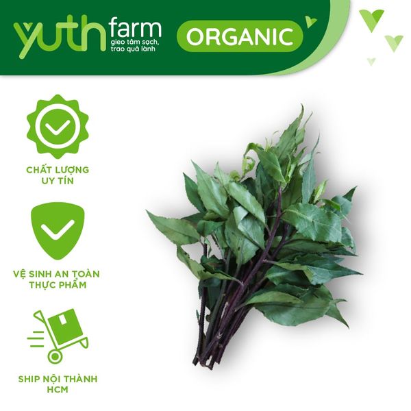 Rau rừng Gia Lai – Yuth Farm & Foods