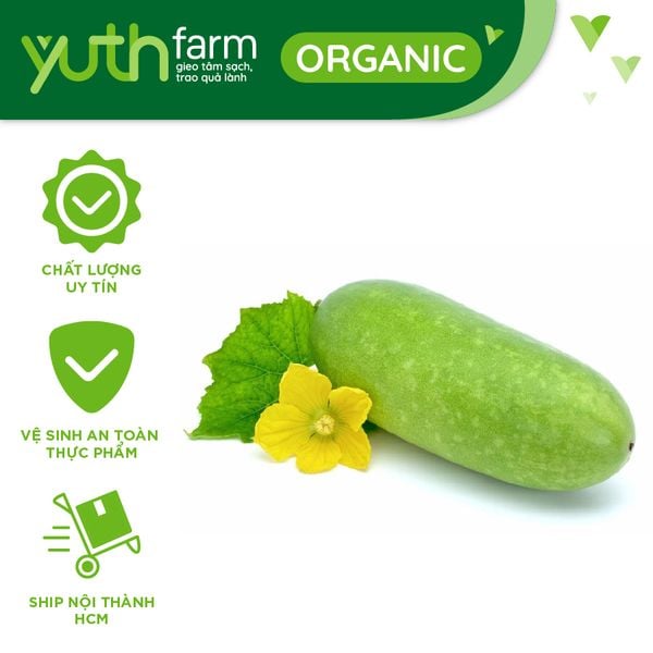 Bí đao – Yuth Farm & Foods